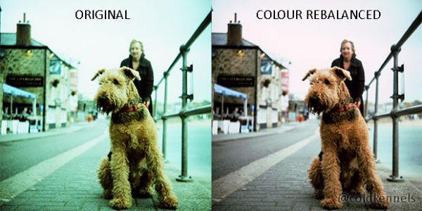 Lomography for Newbies - Japan Camera Hunter