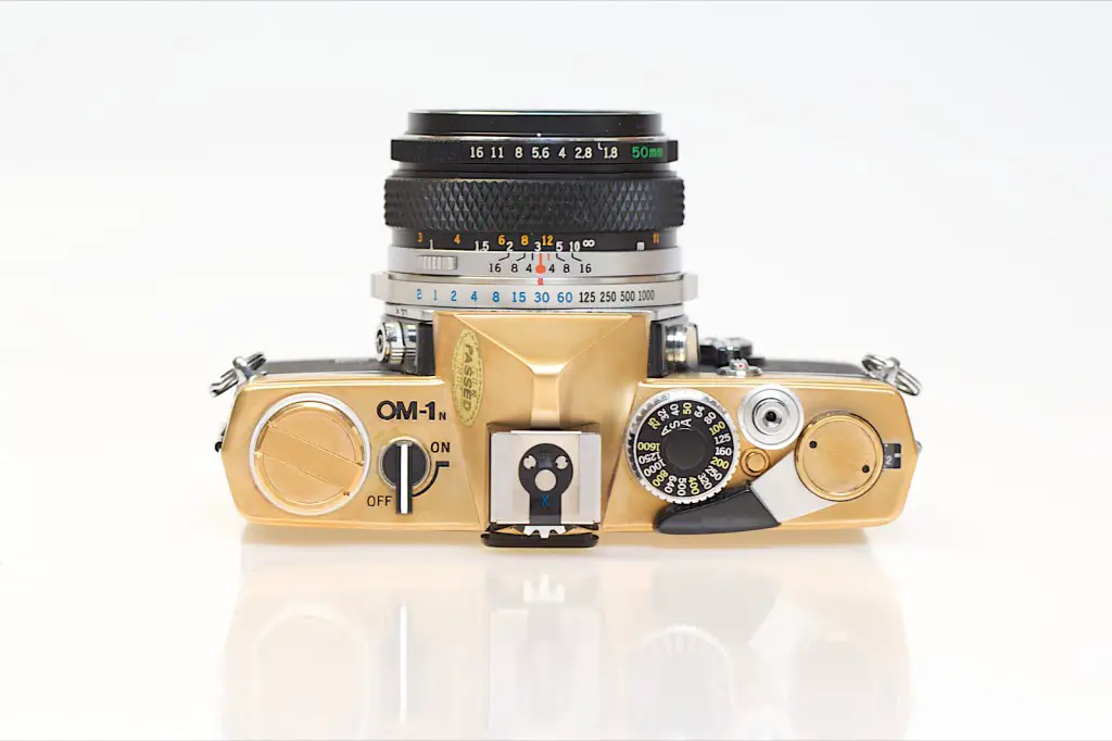 Goldbug 18ct Gold cameras - Japan Camera Hunter