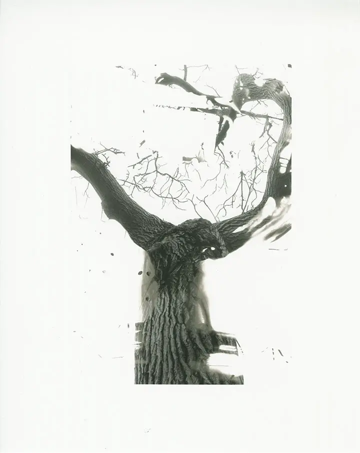 Get Featured: Jack Allan - Japan Camera Hunter