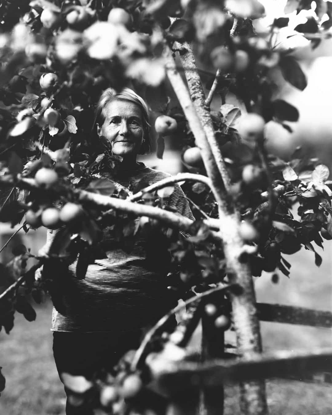 Camera Geekery: The Cleverly Creative Custom Cameras of Brendan Barry ...