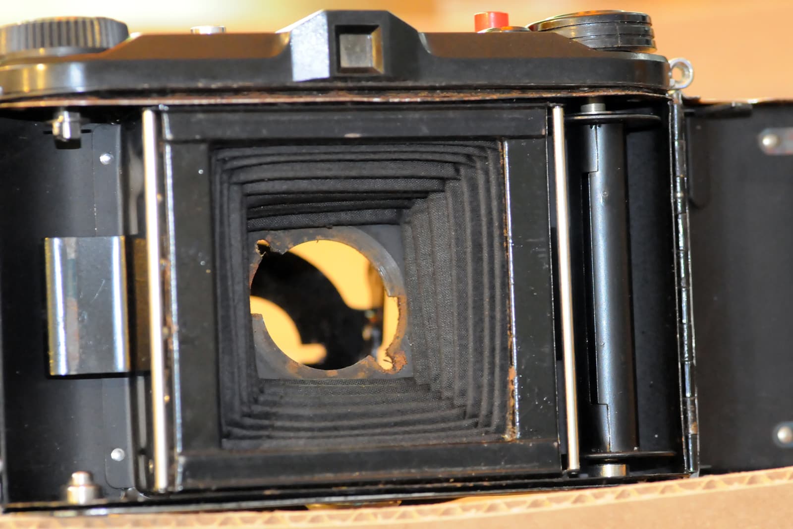 Camera Geekery: Ansco Speedex Brought Back to Life - Japan Camera Hunter