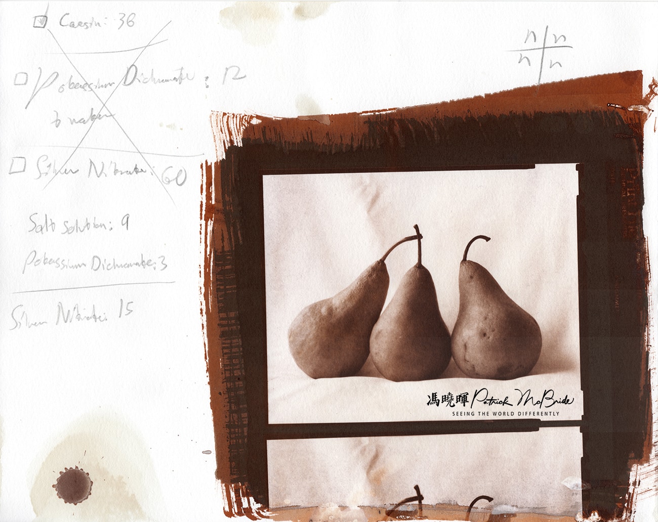 Salted Paper Prints, or the Unforgiving Old Gods of Printing - Japan ...