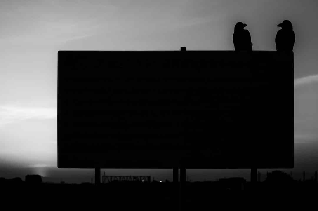 Jesse's Visual Interviews: Deandre Scott - Japan Camera Hunter