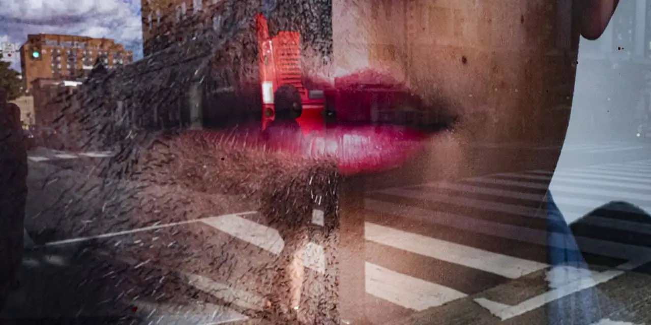 Jesse's Visual Interviews: Sofia Sebastian - Japan Camera Hunter