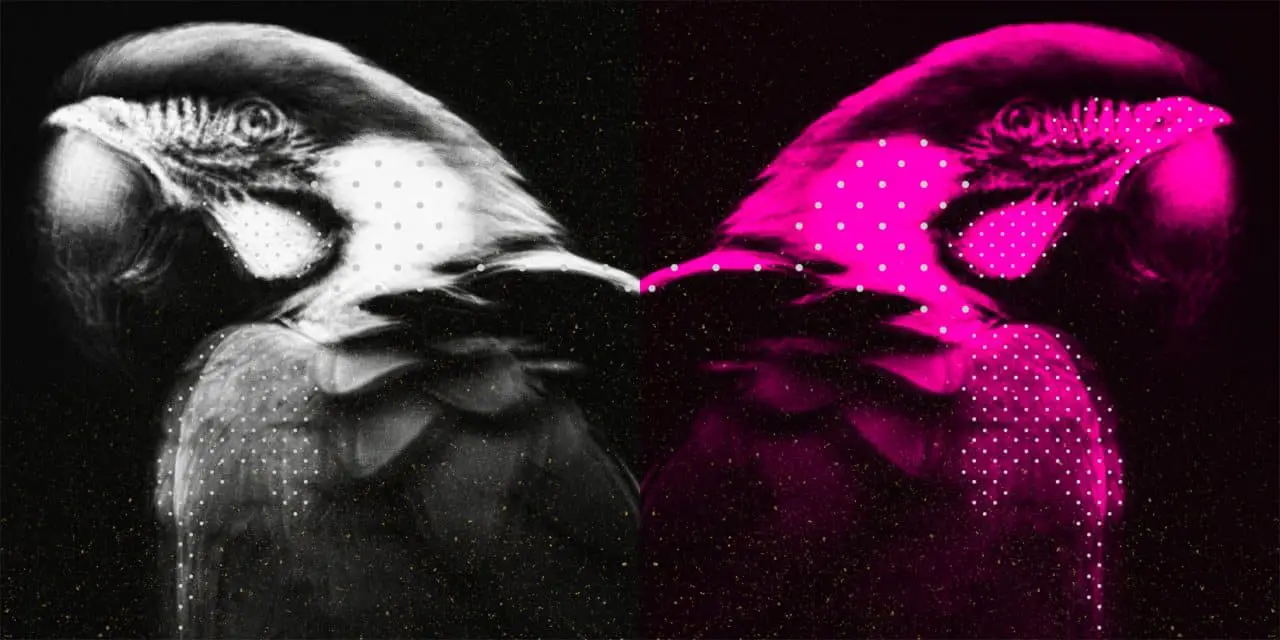 JESSE’S VISUAL INTERVIEWS: Dai Ito - Japan Camera Hunter