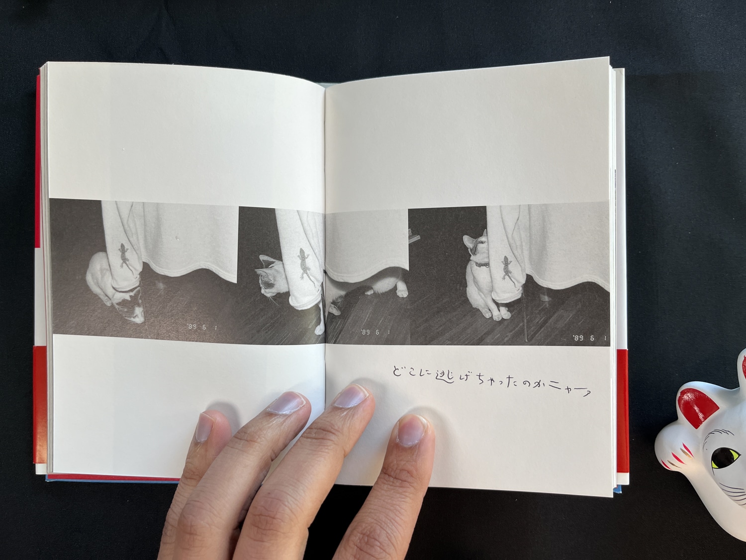 JESSE’S BOOK REVIEW – Chiro, My Love by Araki - Japan Camera Hunter