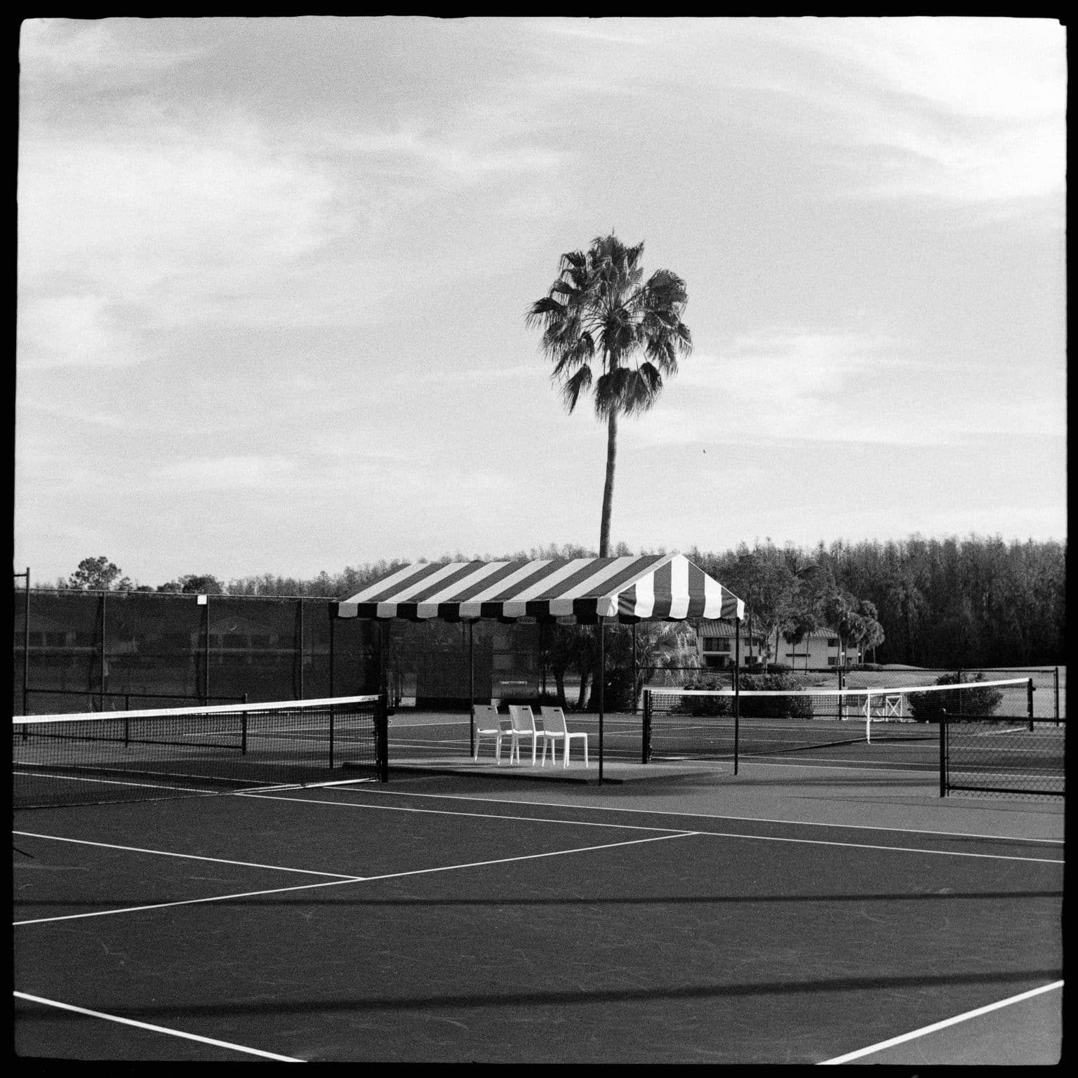 Camera Geekery: ROBOT ROYAL 24 - Japan Camera Hunter