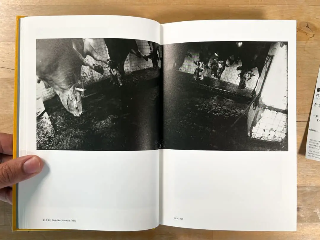 JESSE’S BOOK REVIEW - MASAHISA FUKASE 1961-1991 RETROSPECTIVE - Japan Camera Hunter