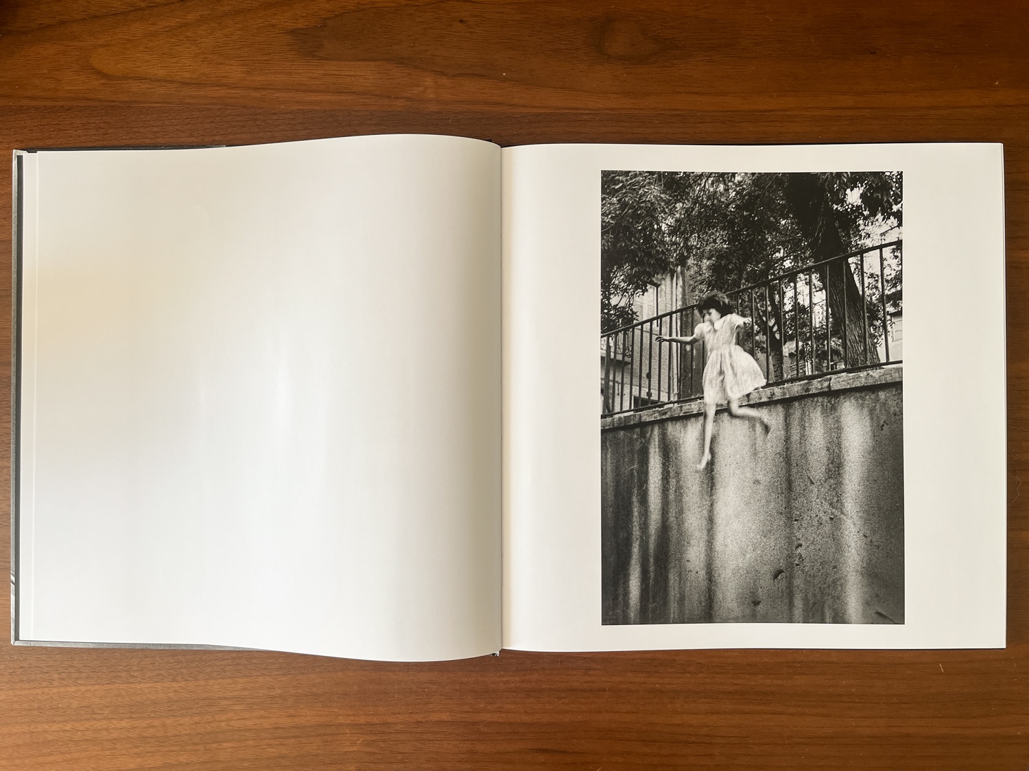 PHOTOGRAPHY ZINES AND BOOKS NO: 49 - Japan Camera Hunter