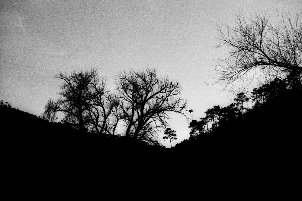 JESSE'S VISUAL INTERVIEWS: Fábio Miguel Roque (NSFW) - Japan Camera Hunter