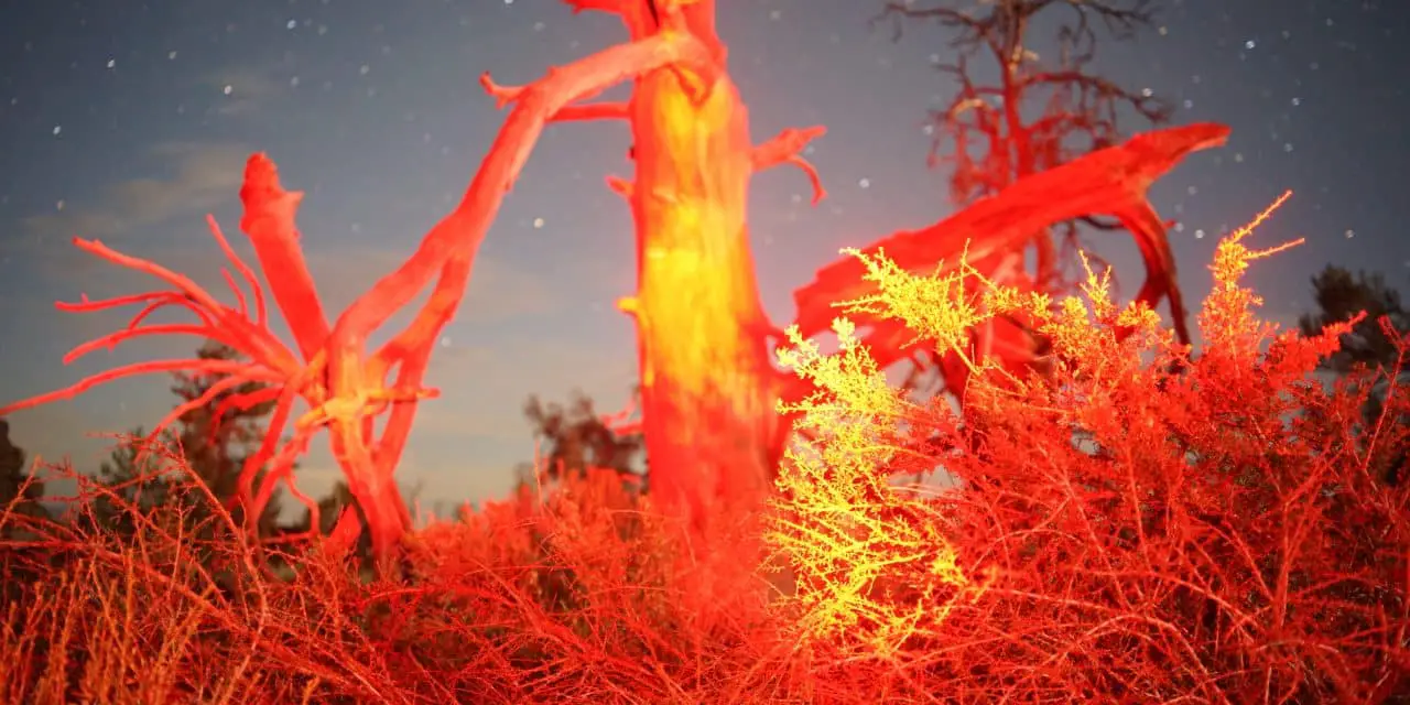 JESSE'S VISUAL INTERVIEWS: Llewelyn Joust - Japan Camera Hunter