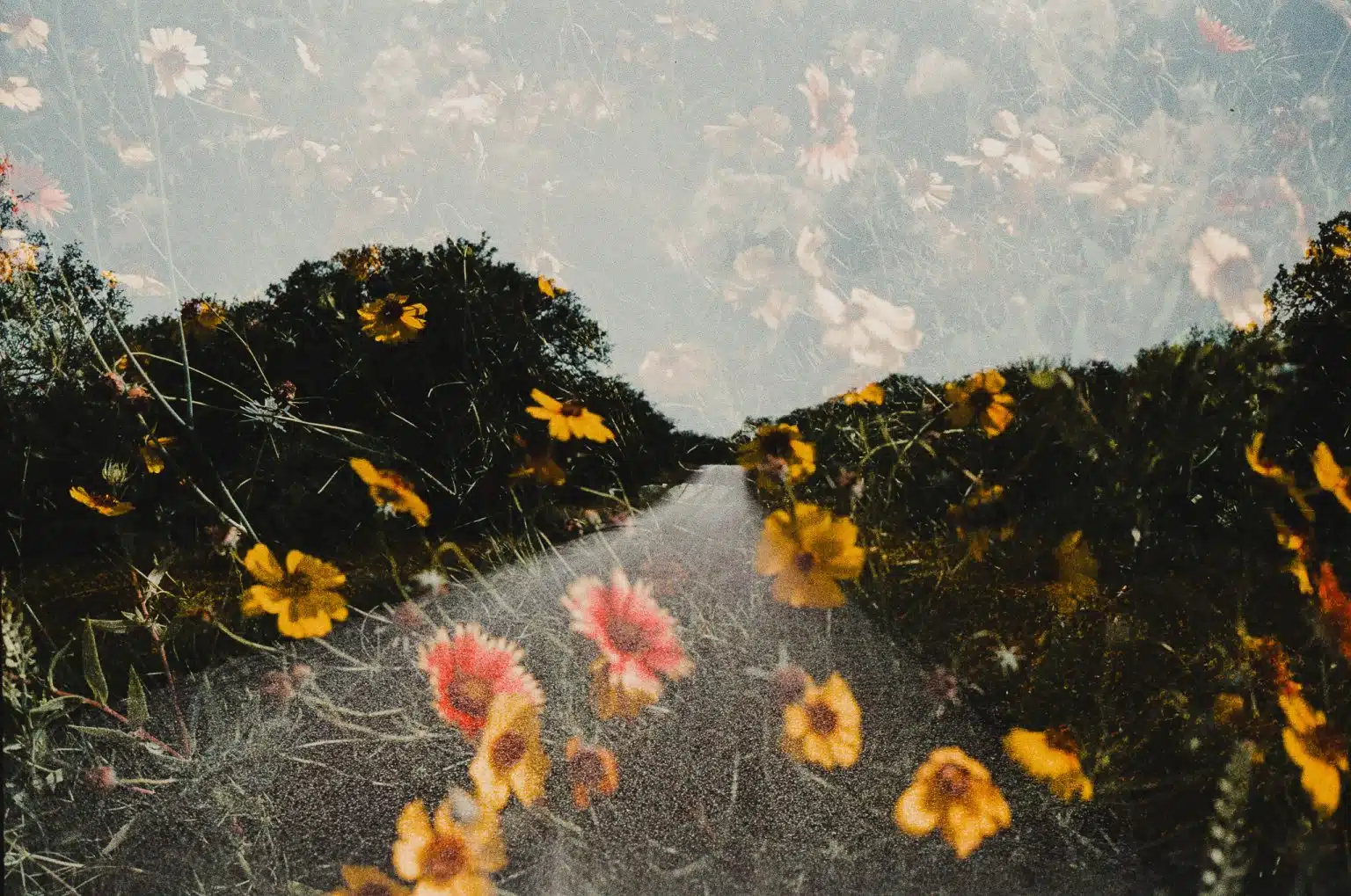 JESSE’S VISUAL INTERVIEWS: Asher Koles - Japan Camera Hunter