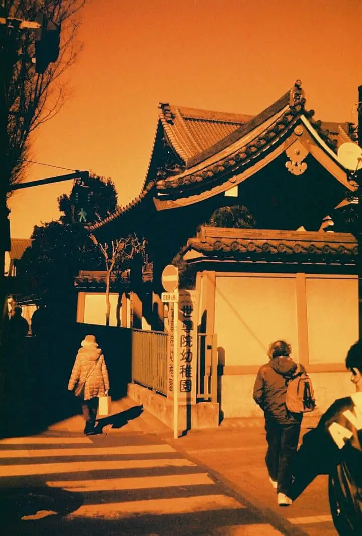 Film News: Roses are Harman Red - Japan Camera Hunter