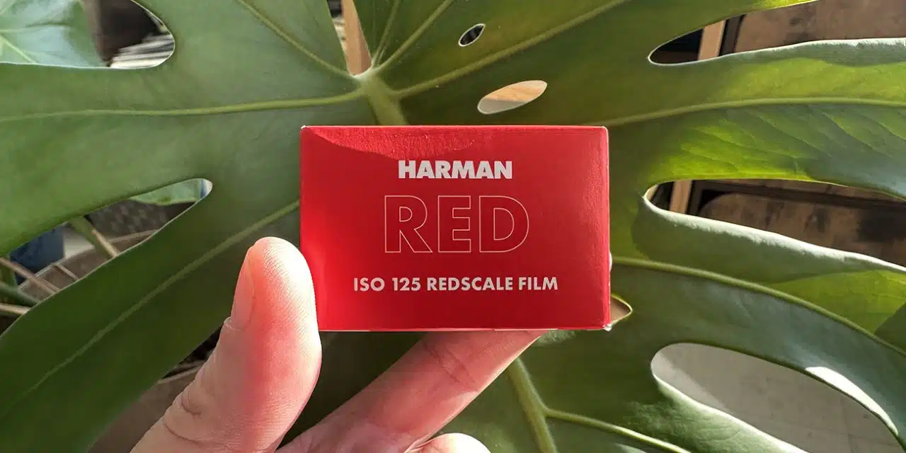 Film News: Roses are Harman Red - Japan Camera Hunter